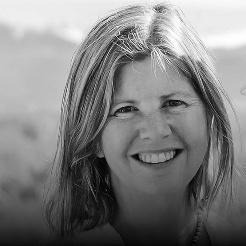 History Book Festival to spotlight McCullough’s last work | Cape Gazette